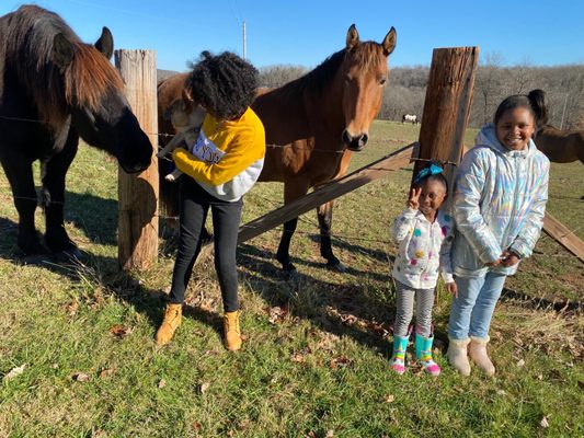 BLUE SPRINGS RANCH - Updated February 2025 - 36 Photos & 47 Reviews ...