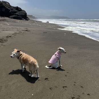 ESPLANADE BEACH - Updated January 2026 - 182 Photos & 60 Reviews - 360 Esplanade Ave, Pacifica ...