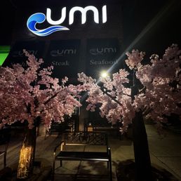 UMI SUSHI & SEAFOOD BUFFET - Updated July 2025 - 667 Photos & 323 ...