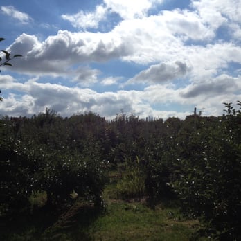CRANE ORCHARDS - Updated October 2025 - 39 Photos & 37 Reviews - 6054 ...