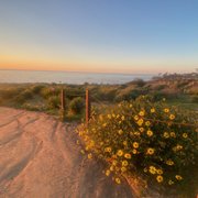 SUNSET CLIFFS NATURAL PARK - 4210 Photos & 1052 Reviews - 1253 Sunset ...