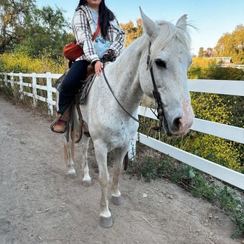 PALOS VERDES HORSE RENTALS - Updated June 2025 - 157 Photos & 104 ...