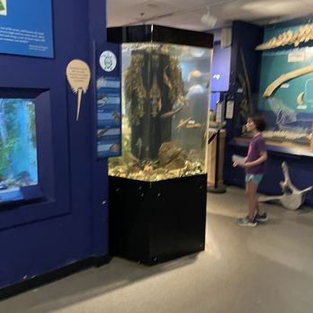 CAPE COD MUSEUM OF NATURAL HISTORY - Updated December 2025 - 42 Photos ...