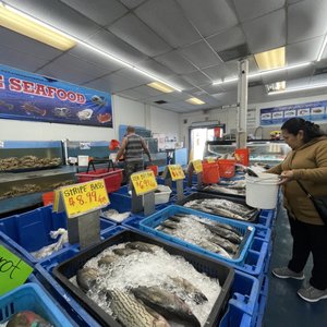 USA DAILY LIVE SEAFOOD MARKET - 151 Photos & 75 Reviews - 1436 Cherry ...
