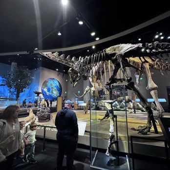 PEROT MUSEUM OF NATURE AND SCIENCE - Updated August 2025 - 2463 Photos ...