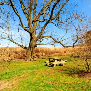 BINKY LEE PRESERVE - NATURAL LANDS - Updated July 2025 - 40 Photos ...