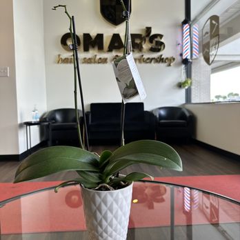OMAR’S HAIR SALON & BARBERSHOP - Updated October 2025 - 40 Photos & 10 Reviews - 184 Delco Plz ...