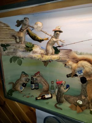 MOCCASIN BAR - 43 Photos & 28 Reviews - 15820 US Hwy 63, Hayward ...