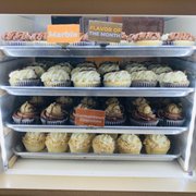 THE CUPCAKE COLLECTION - 366 Photos & 426 Reviews - 1213 6th Ave N ...