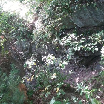 LIME KILN QUARRY - Updated September 2025 - Lime Kiln, Chelmsford ...