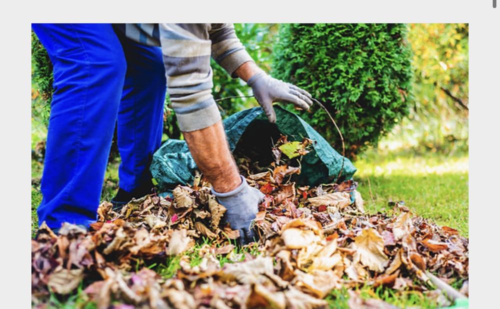 OLVERA LAWN SERVICES - Updated August 2025 - 12 Photos - Fort Worth, Texas - Lawn Services ...