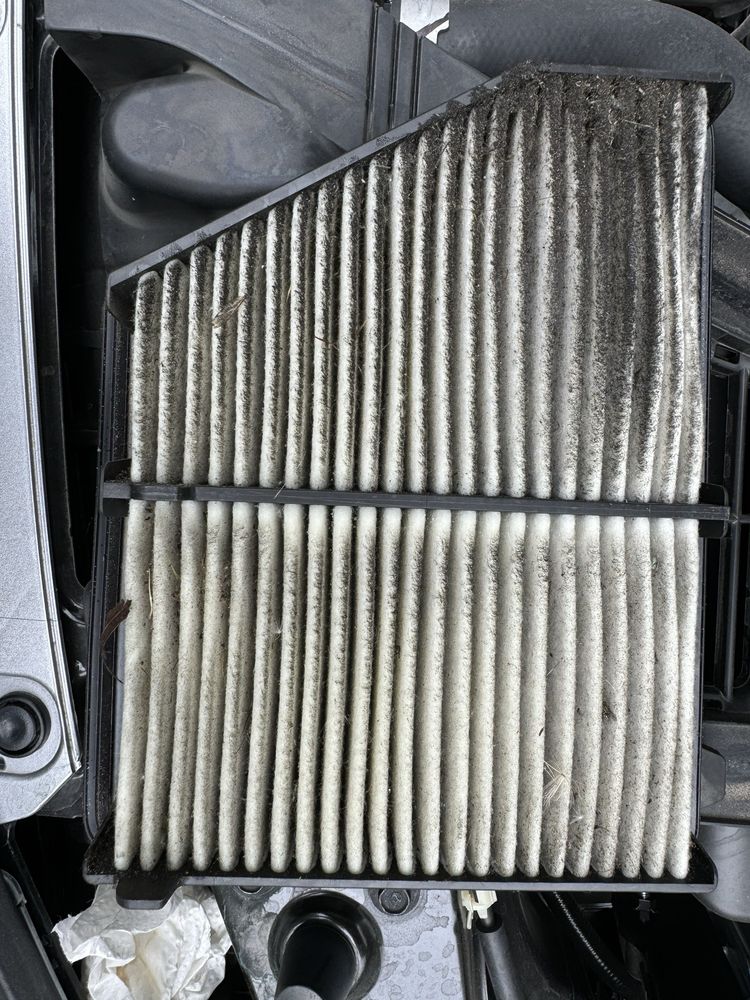 LUTE RILEY HONDA - Updated January 2026 - 81 Photos & 462 Reviews ...