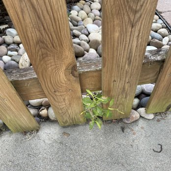 LONG’S LANDSCAPE MANAGEMENT - Updated July 2025 - Charleston, South ...