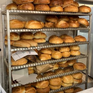 CALABRIA PORK STORE - 200 Photos & 79 Reviews - Meat Shops - 2338 ...