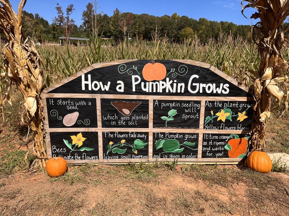 SLEEPY HOLLOW FARM - Updated October 2025 - 45 Photos & 26 Reviews ...