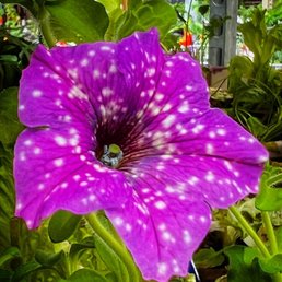 Menards Reviews | Read Customer Service Reviews of menards.com