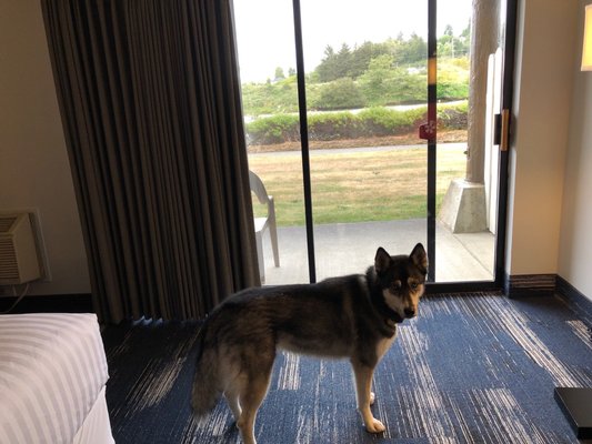 EDGEWATER INN - Updated July 2024 - 60 Photos & 78 Reviews - 275 E ...