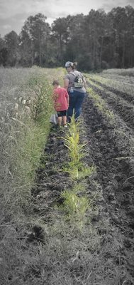 WESLEY WELLS FARM - Updated August 2025 - 99 Photos & 11 Reviews - 2680 ...