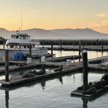 FOG HARBOR FISH HOUSE - Updated November 2024 - 16363 Photos & 11228 ...