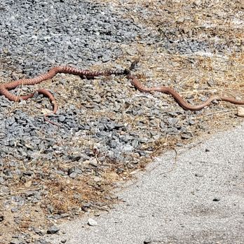 CAMP TALEGA - Updated October 2025 - 14 Photos - 64385 Cristianitos Rd ...