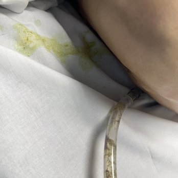 MADISON GROVE POST ACUTE - Updated January 2025 - 71 Photos & 59 ...