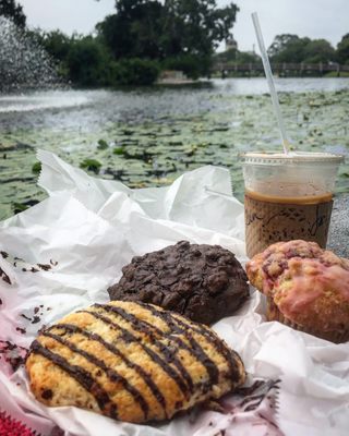 THE SCONE PONY - 38 Photos & 100 Reviews - Bakeries - 305 Washington ...