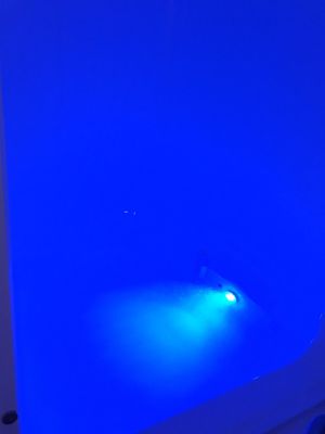 SAMANA FLOAT CENTER - Updated January 2026 - 65 Photos & 113 Reviews ...