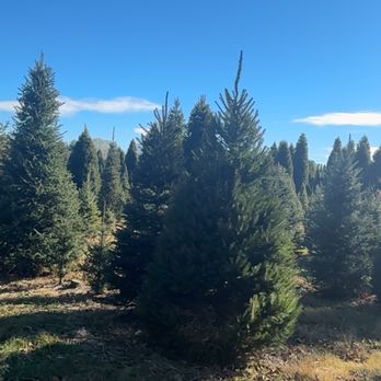 ELWOOD PUMPKIN FARM - Updated October 2025 - 57 Photos & 111 Reviews ...