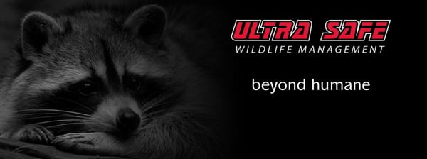 ULTRA SAFE PEST MANAGEMENT - Updated October 2025 - 59 Photos & 62 ...