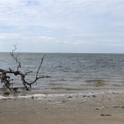 EMERSON POINT PARK - 184 Photos & 29 Reviews - 5801 17th St W, Palmetto ...