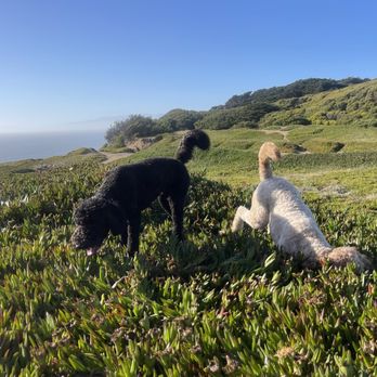 FORT FUNSTON - Updated September 2024 - 2616 Photos & 1166 Reviews ...