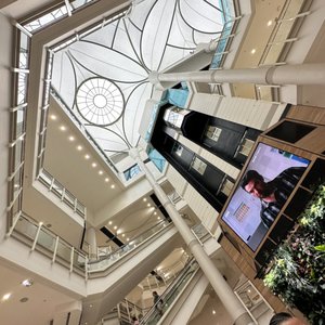 DYMOCKS BRISBANE - Updated February 2025 - 72 Queen St, Brisbane City ...