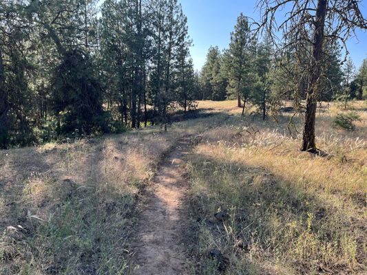 JAMES T SLAVIN CONSERVATION AREA - Updated December 2025 - Spokane ...