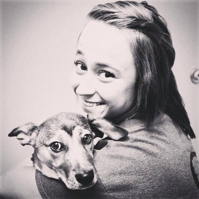 ADVANTAGE VETERINARY CENTER - Updated September 2025 - 17 Photos & 29 ...