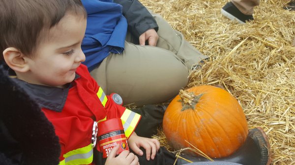 MATTHYS FARM MARKET - Updated December 2025 - 57754 Crumstown Hwy ...