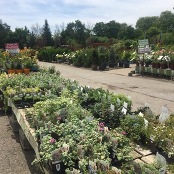 SHERIDAN NURSERIES ETOBICOKE - Updated December 2025 - 41 Photos & 24 ...