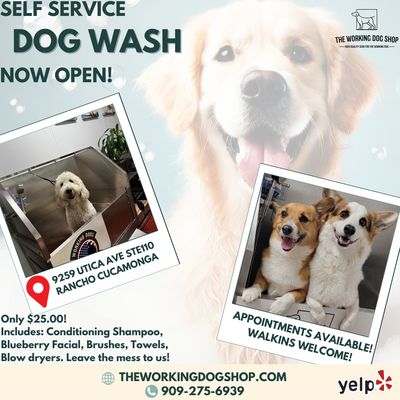 THE WORKING DOG SHOP - Updated January 2026 - 24 Photos - 9259 Utica ...