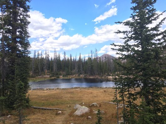 BUTTERFLY LAKE CAMPGROUND - Updated January 2026 - 35 Photos - US Hwy ...