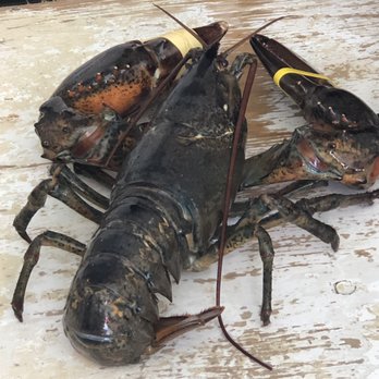 RYER’S LOBSTERS - Updated December 2025 - 57 Photos & 35 Reviews - 8494 ...