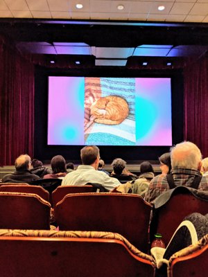 THE LITTLE THEATRE - 158 Photos & 102 Reviews - 240 East Ave, Rochester ...