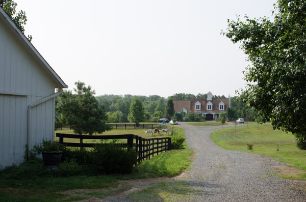 CHEESECAKE FARMS - Updated May 2026 - 22 Photos - 4085 Sumerduck Rd ...