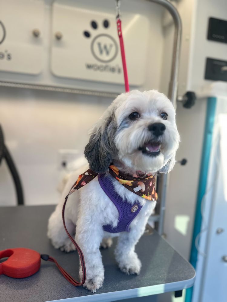 WOOFIE’S OF NORTHEAST SAN DIEGO - Updated November 2025 - 42 Photos ...