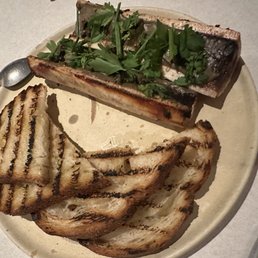 Walrus Rodeo - Trusted Since 2022 - Updated July 2025 - 508 Photos ...