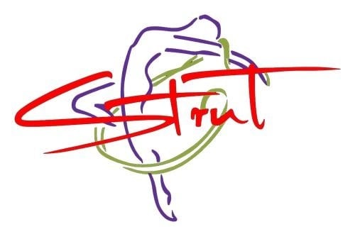 STRUT STUDIO OF DANCE - Updated June 2025 - 623 Bitritto Ct, Modesto ...