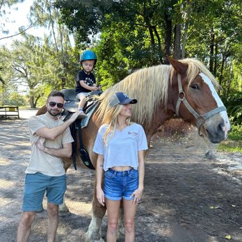 HAPPI FARM - Updated May 2024 - 347 Photos & 116 Reviews - 10251 Orange ...