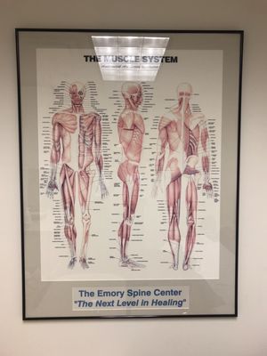 EMORY ORTHOPAEDICS & SPINE CENTER - Updated April 2026 - 22 Photos ...