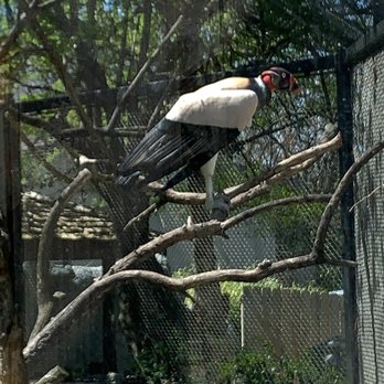 DICKERSON PARK ZOO - Updated October 2025 - 132 Photos & 50 Reviews ...