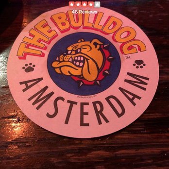 THE BULLDOG PALACE - Updated July 2024 - 93 Photos & 70 Reviews ...
