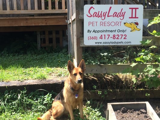 SASSY LADY PET RESORT - Updated January 2026 - 267 Watershed Rd, Port ...