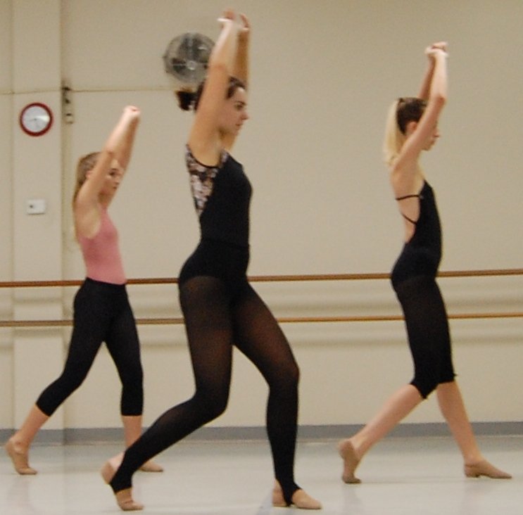 BRANDON BALLET - Updated May 2024 - 161 E Bloomingdale Ave, Brandon ...